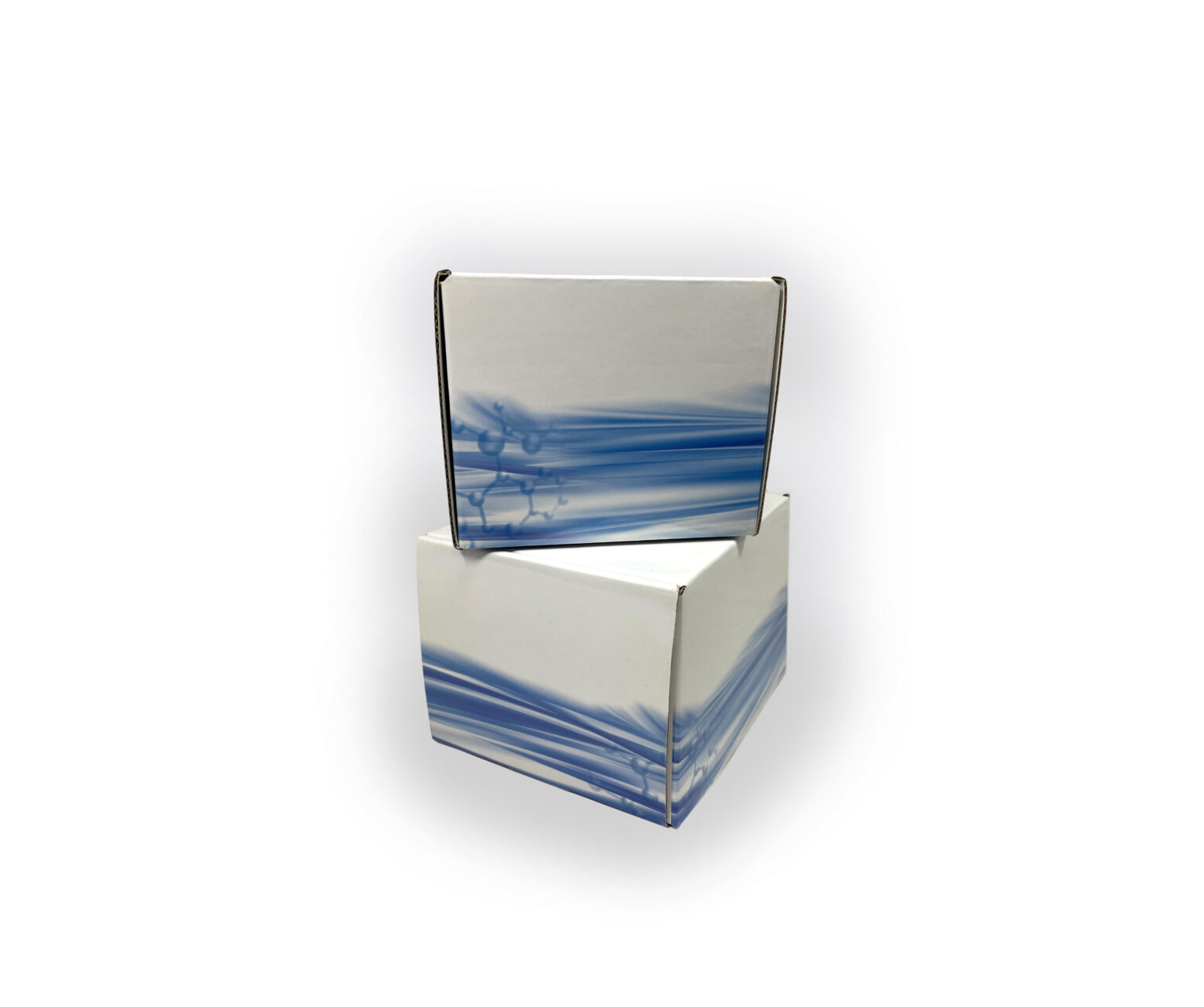 Custom Pharmaceutical Packaging: Safe, Compliant Boxes